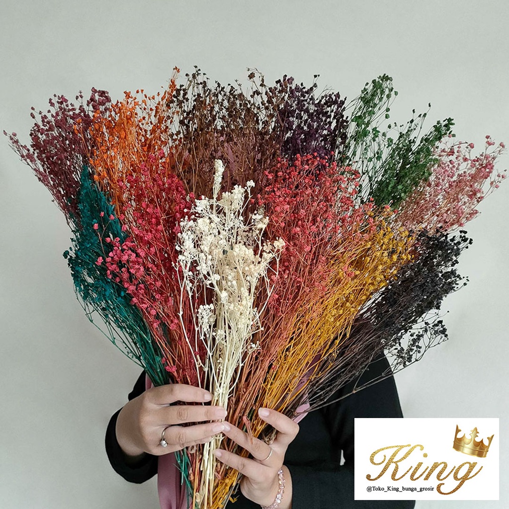 Jual Dried Blossom Baby's Breath / Gypsophila Bunga Kering Dekorasi Hiasan Asli | Shopee Indonesia