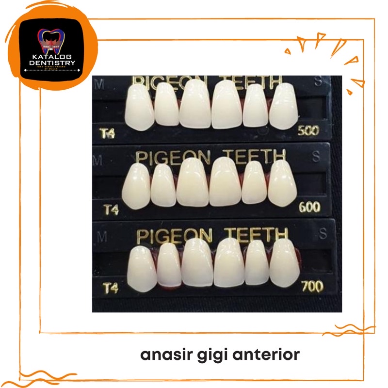 Jual Anasir gigi tiruan / gigi palsu akrilik caiyu / artificial teeth ...