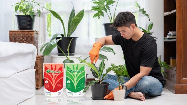 Toko Online Toko_SAM | Shopee Indonesia