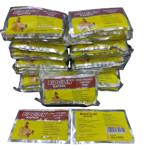 Jual BIOCILIN BIO CILIN 1 SACHET ISI 10 KAPSUL EKA FARMA OBAT AYAM ...
