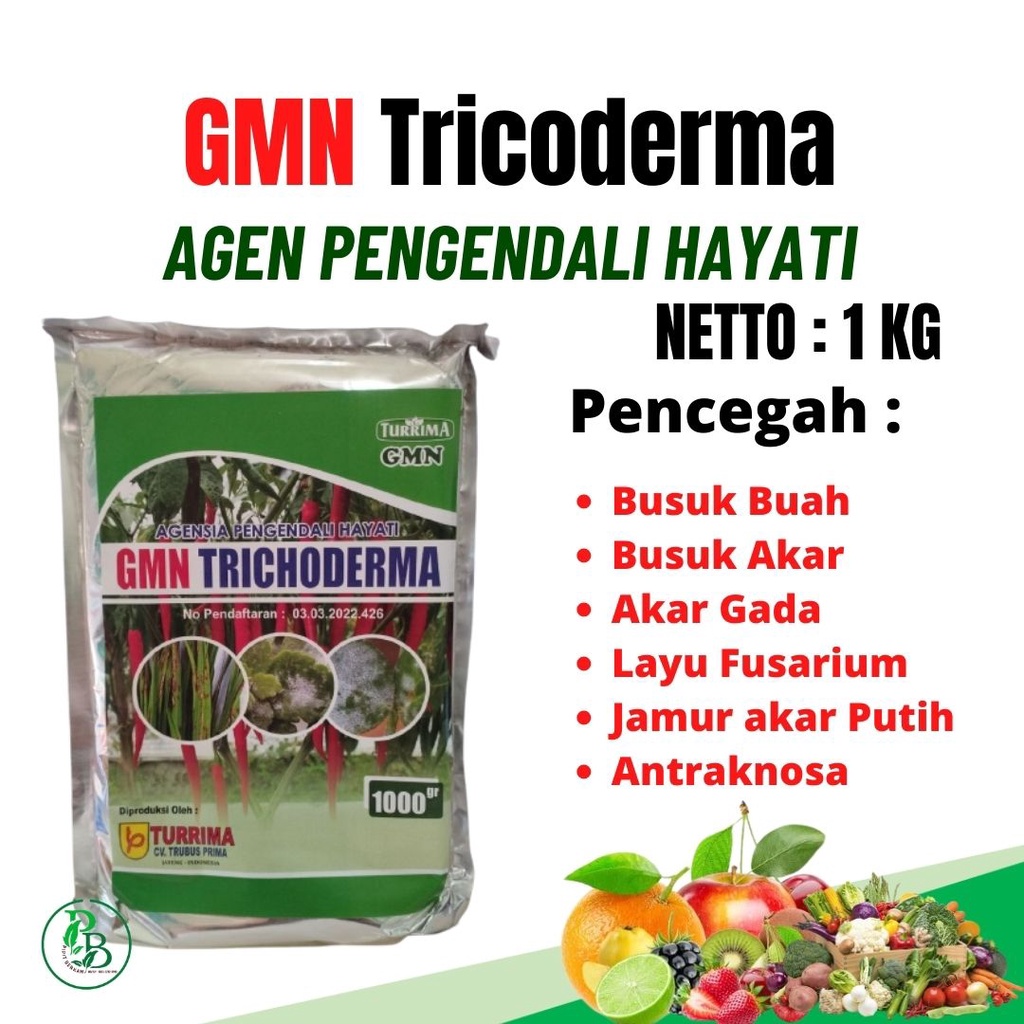 Jual Pupuk Fungisida Hayati Trichoderma, pupuk hayati akar gada pada ...