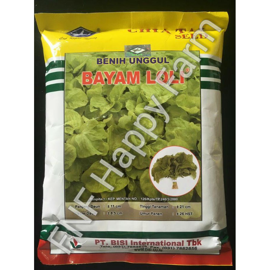 Jual Buruan Serbu Benih Bayam Loli Kemasan 500Gram | Shopee Indonesia