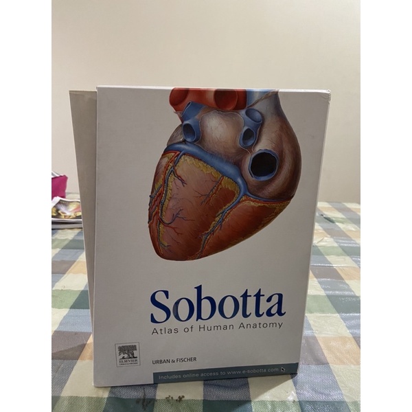 Harga sobotta original terbaru Terbaru Jan 2025 |BigGo Indonesia