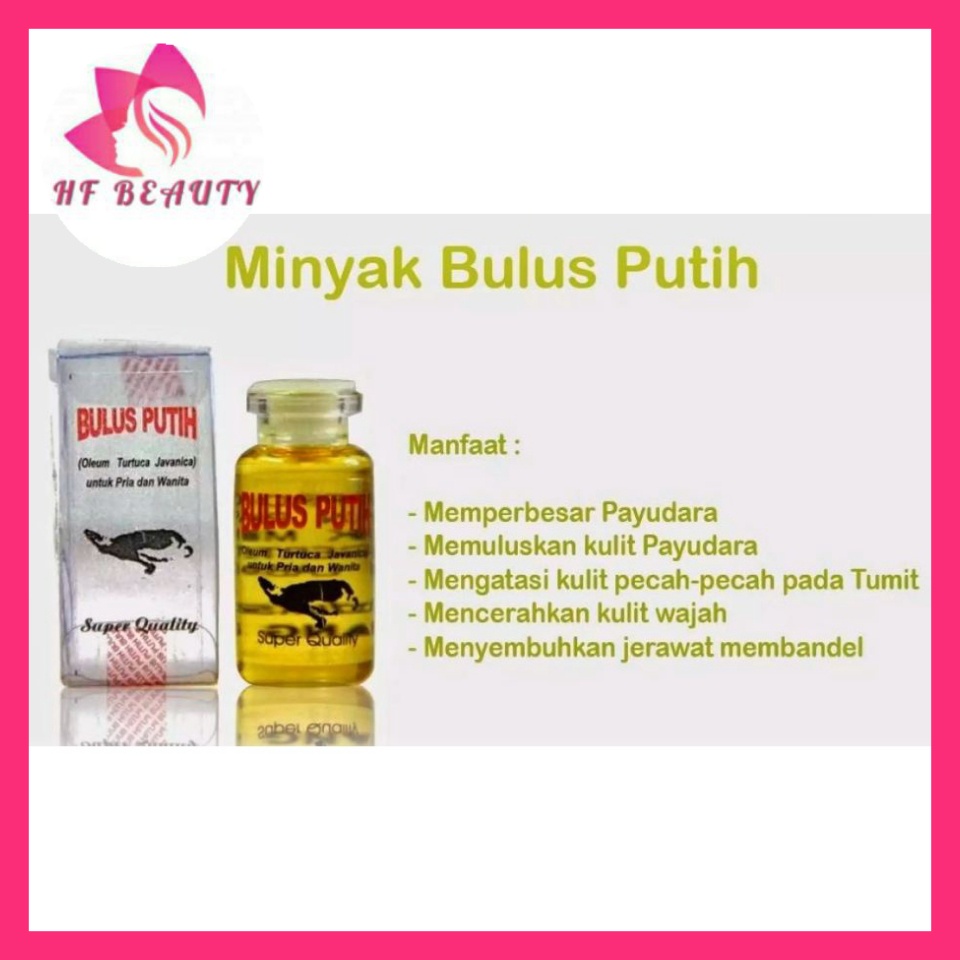 Jual Minyak Bulus Eyang Laut | Minyak Bulus Putih Kemasan Mika ( Bisa ...
