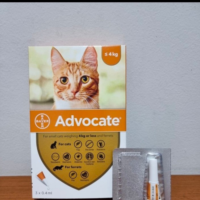 Jual Obat kutu kucing ADVOCATE for small | Shopee Indonesia
