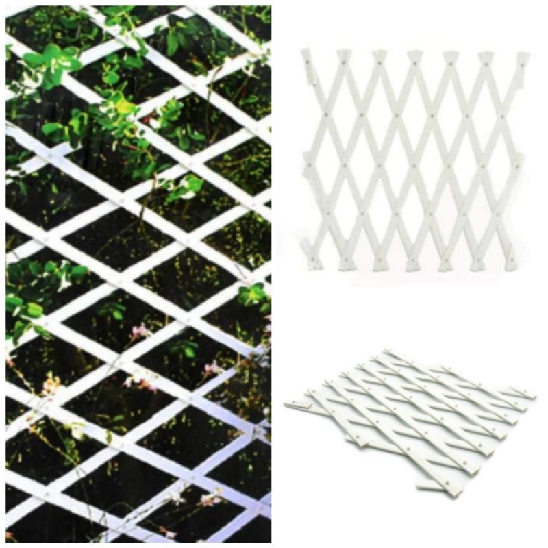Jual PAGAR TERALIS TRALIS TANAMAN RAMBAT TRELLIS PLASTIK | Shopee Indonesia