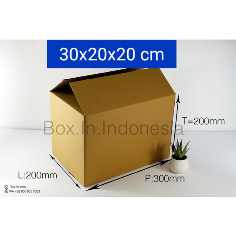 Jual (10 pcs) Karton Box Baru 30x20x20 cm Kardus coklat kotak polos ...