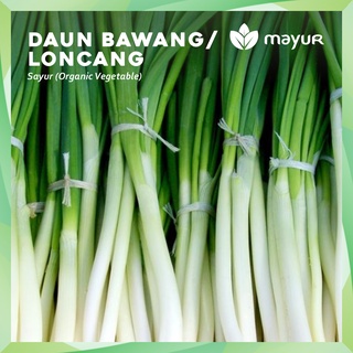 Jual Daun Bawang/ Loncang Segar( 250 gr | 500 gr | 1 kg) Indonesia ...