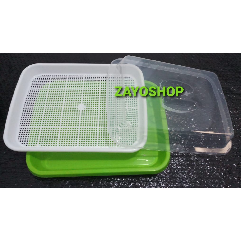 Jual TRAY SEMAI MICROGREEN + TUTUP - WADAH SEMAI TANAMAN - TRAY SEMAI ...