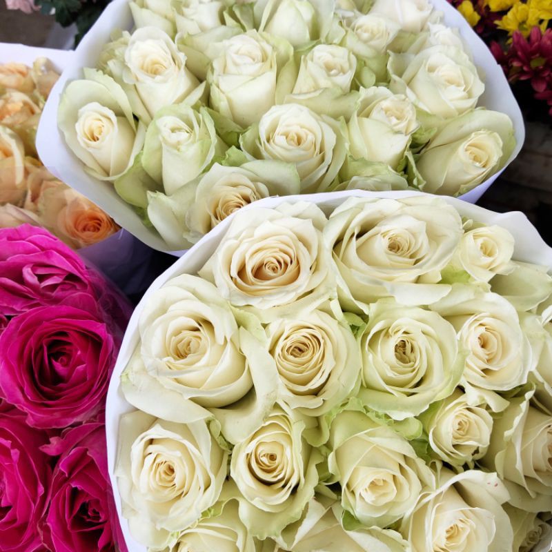 Jual bunga potong bunga mawar asli/segar /5 tangkai Indonesia|Shopee ...