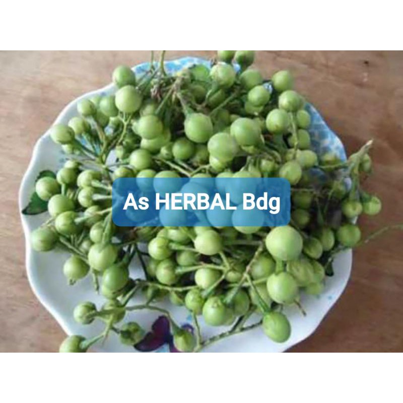 Jual Buah Cepokak atau Takokak 500 gram Indonesia|Shopee Indonesia Jual Buah Cepokak atau Takokak 500 gram Indonesia|Shopee Indonesia
