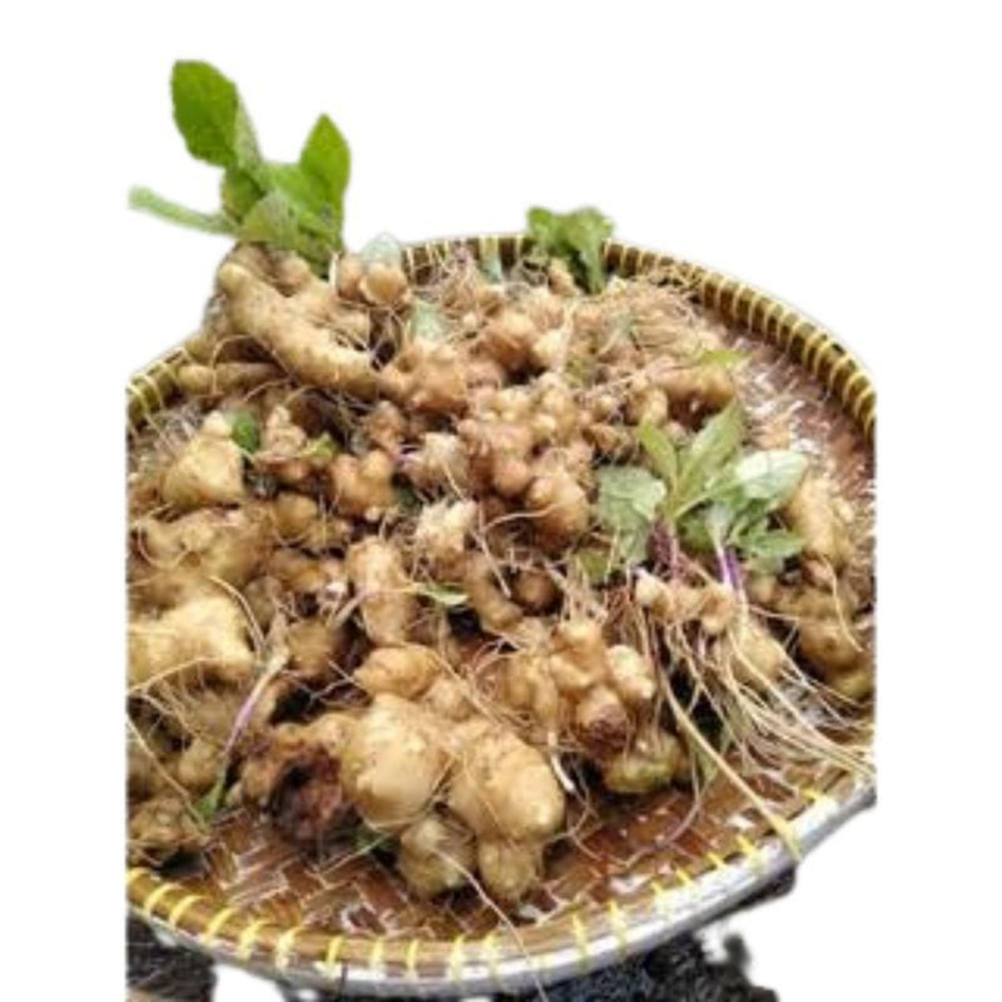 Produk PETANI UMBI DEWA | Shopee Indonesia