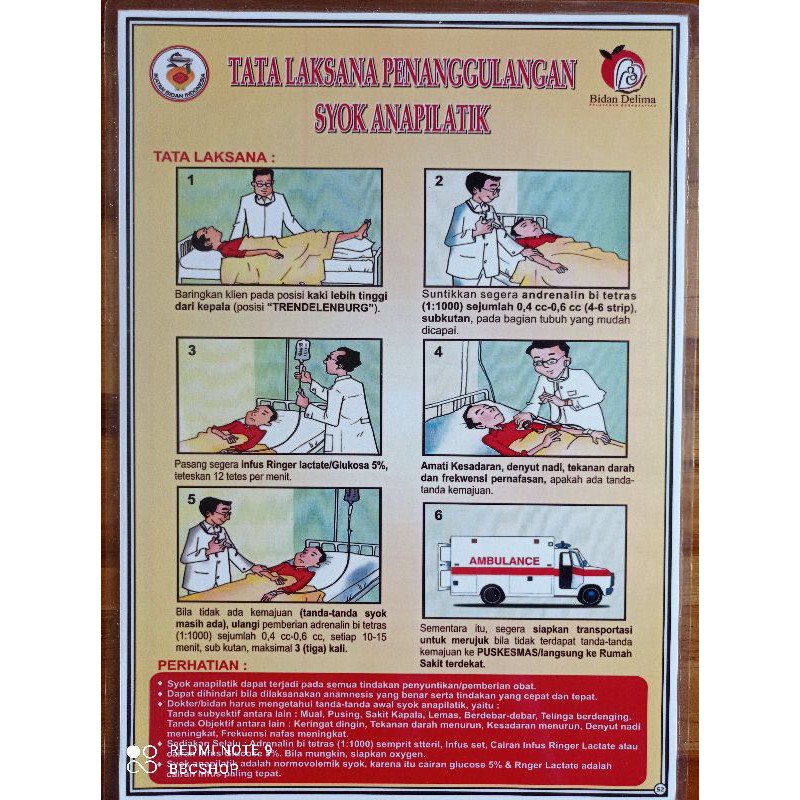 Jual (52) POSTER TATALAKSANA PENANGGULANGAN SYOK ANAPILATIK | Shopee ...