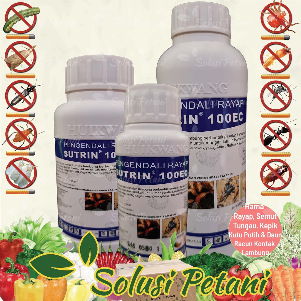 Jual Obat Hama Pengendali Rayap Sutrin 100ml Pembasmi Rayap Rumah ...