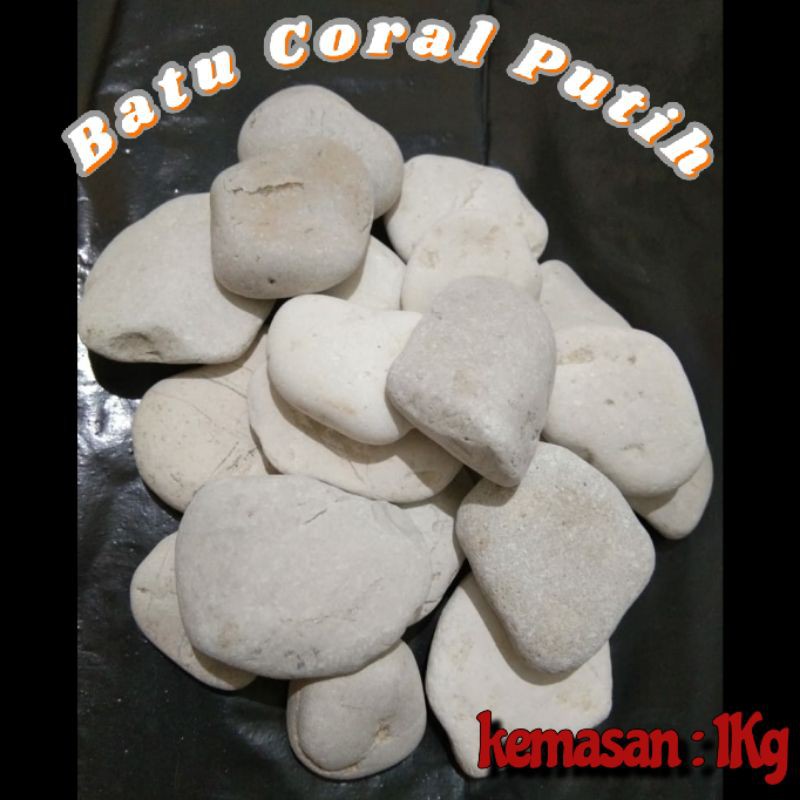 Jual Batu Coral Putih, Batu tanaman, Batu Taman 1Kg | Shopee Indonesia
