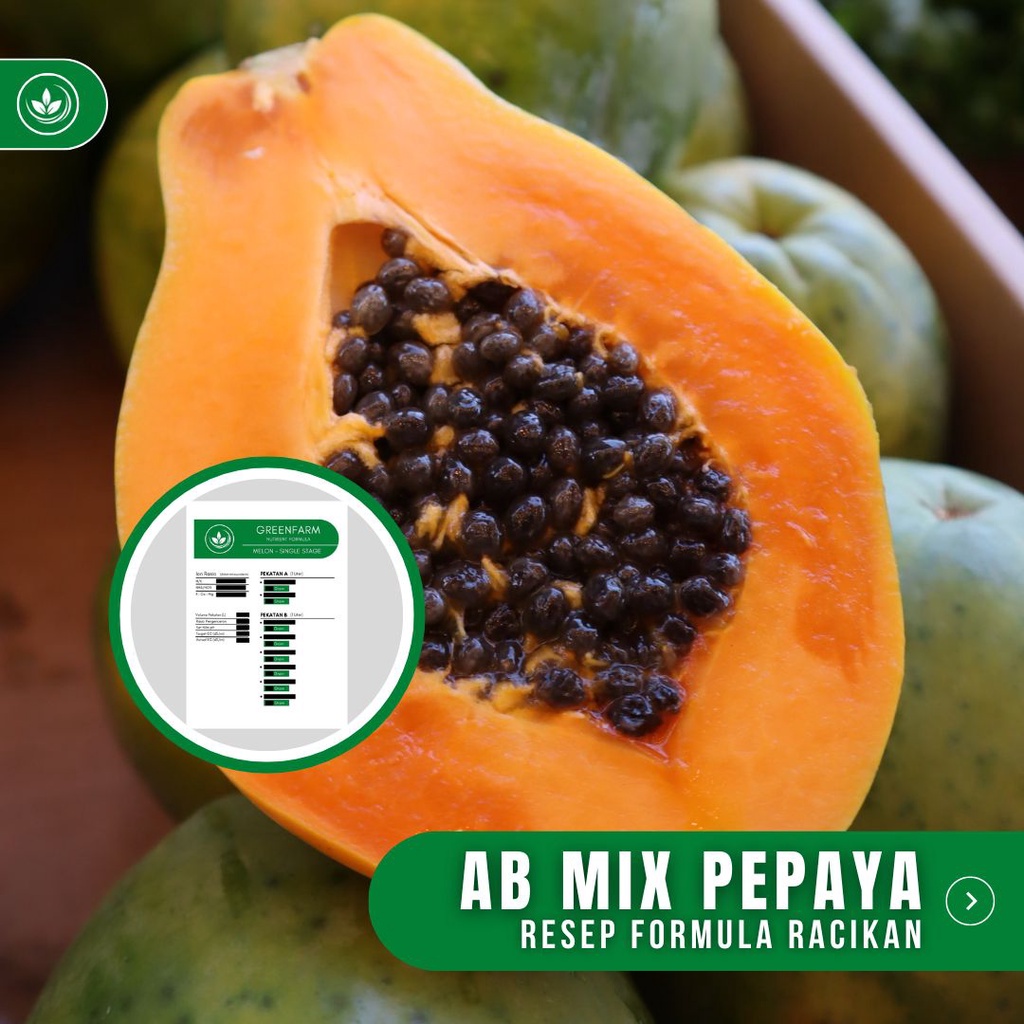 Jual Resep AB Mix Pepaya Formula Racikan Nutrisi Pupuk Pepaya ...