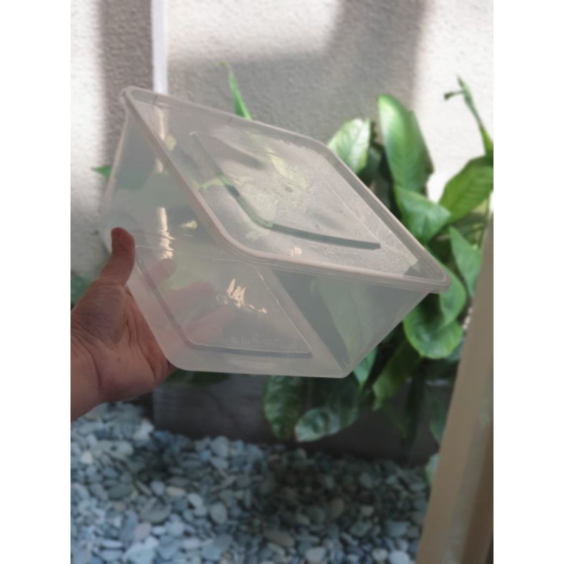 Jual Thinwall Square 3000ml / Thinwall Kotak 3000ml. Isi 25pcs | Shopee ... Jual Thinwall Square 3000ml / Thinwall Kotak 3000ml. Isi 25pcs | Shopee ...