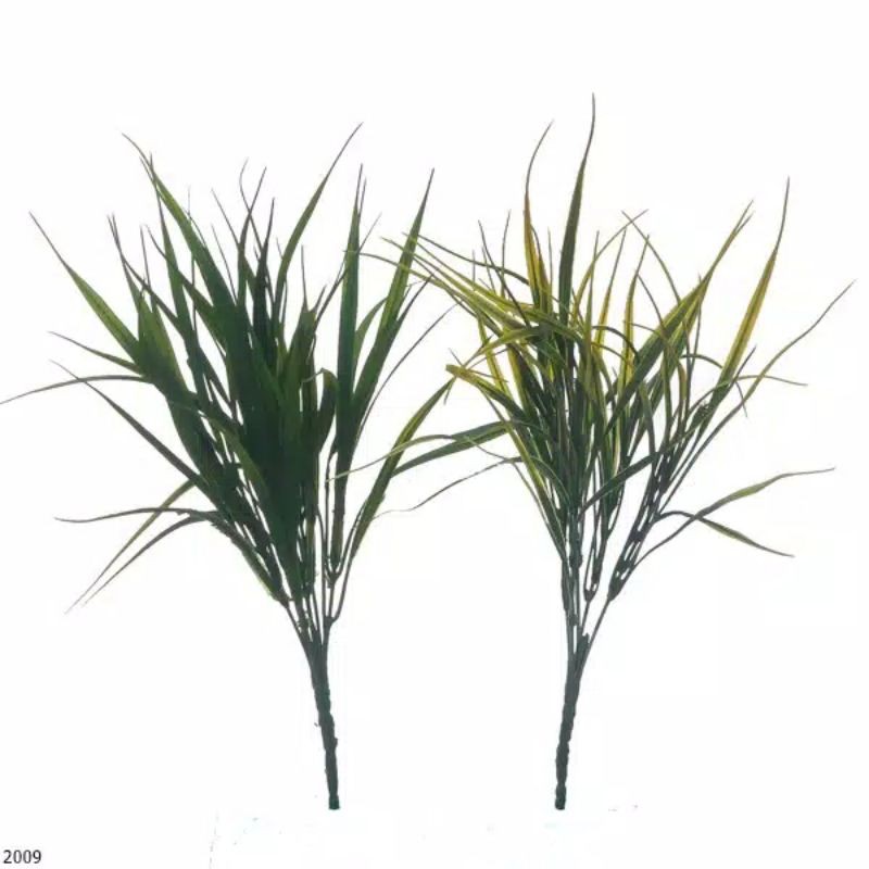 Jual Daun rumput | Shopee Indonesia