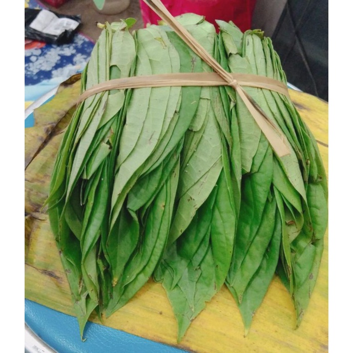 Jual DAUN SIRIH MEDAN 1 PEDI NAPURAN - DEMBAN 5 BARIS TABO | Shopee ...