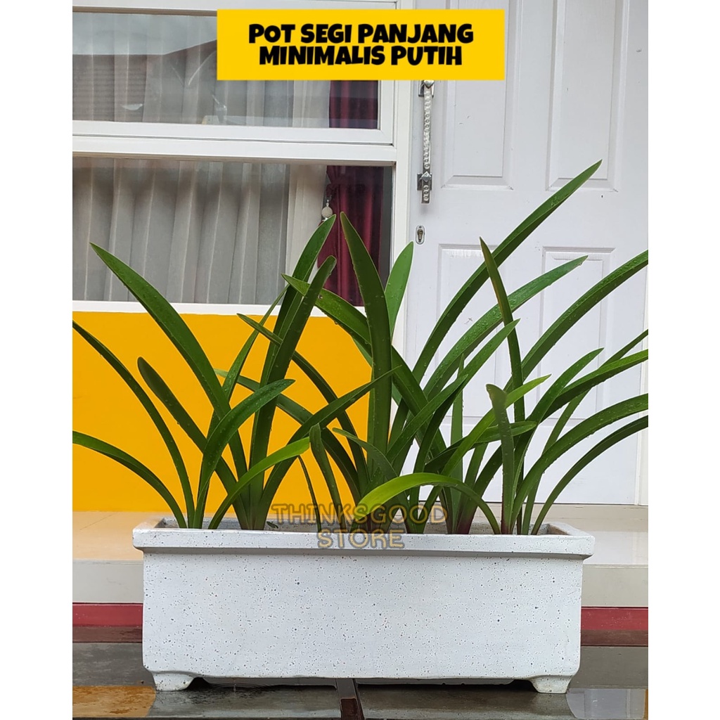 Jual POT BUNGA TANAMAN BESAR JUMBO SEMEN TERASO MINIMALIS TINGGI MODEL ...