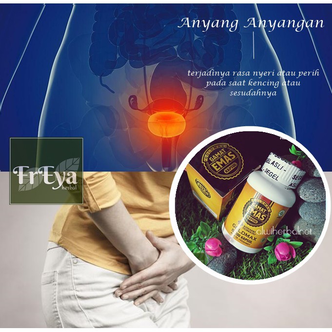 Jual OBAT ANYANG ANYANGAN, OBAT HERBAL DISURIA, OBAT SAKIT KENCING ...