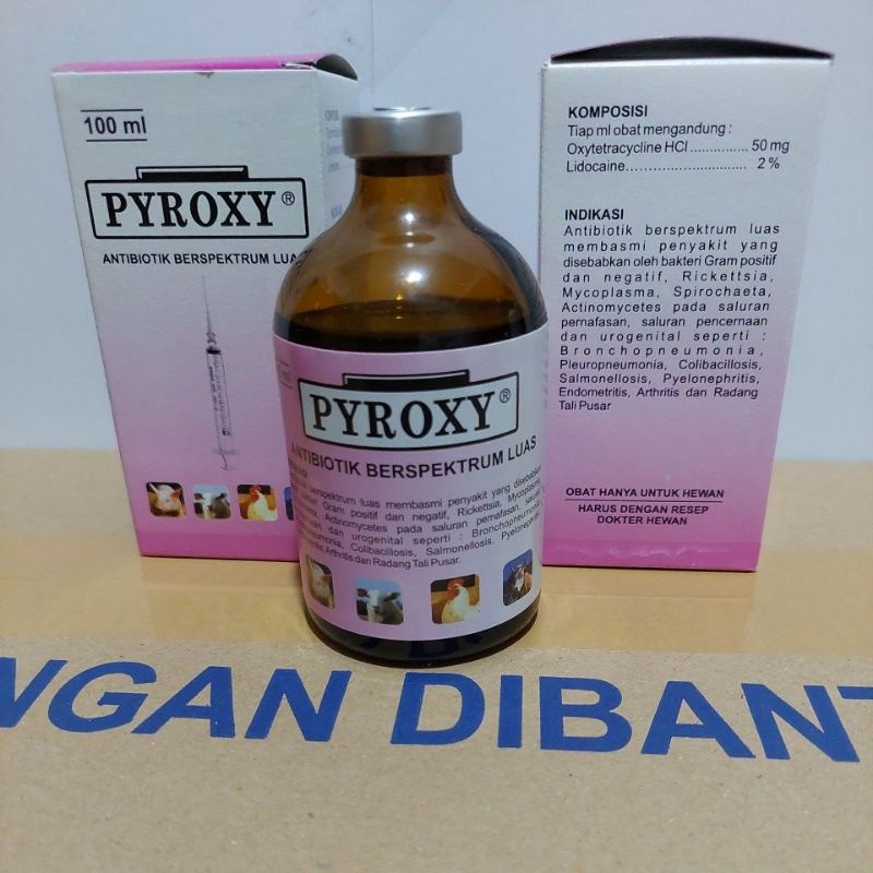 Jual PYROXY Inj. 100 ml (Like KALOXY) Supportif Pengobatan Berbagai ...