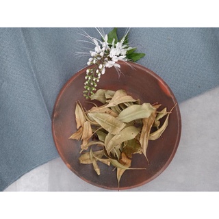 Jual Simplisia Daun Cengkeh | Shopee Indonesia