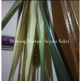 Jual Bunga Jaksi | Shopee Indonesia