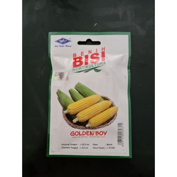 Benih Jagung Manis GOLDEN BOY 50 Biji | pgmall