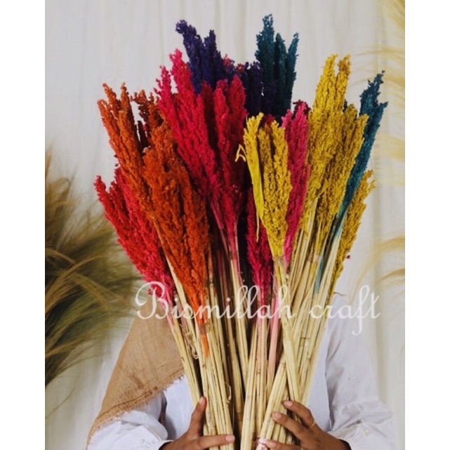 Jual BUNGA CANTEL Hiasan Buket Bunga Dekorasi Rustik Daun Ruskus Kering ...