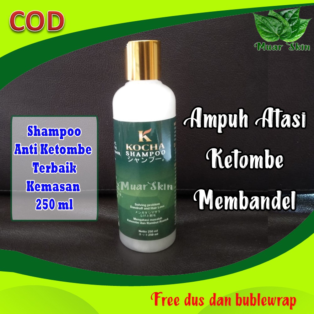 sampo anti ketombe 250 ml | Shopee Indonesia
