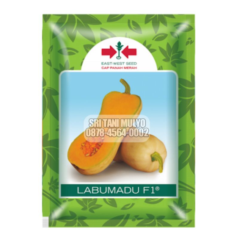 Jual Benih Labu Madu F1 Isi 10 Biji - Cap Panah Merah - Bibit Butternut ...