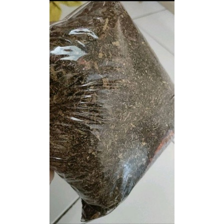 Jual GEMBUR TANAH SUBUR HUTAN BAMBU | Shopee Indonesia
