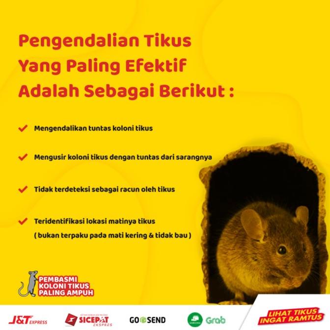 Harga Wirog Terbaru Januari 2023 |BigGo Indonesia