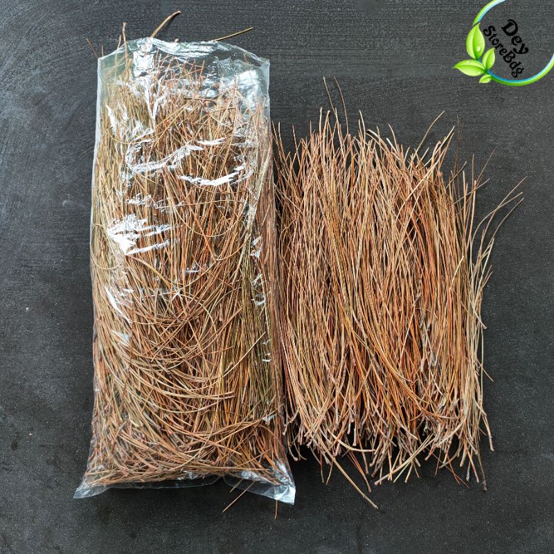 Jual Serbuk cemara Atou daun pinus kering 300 Gram | Shopee Indonesia