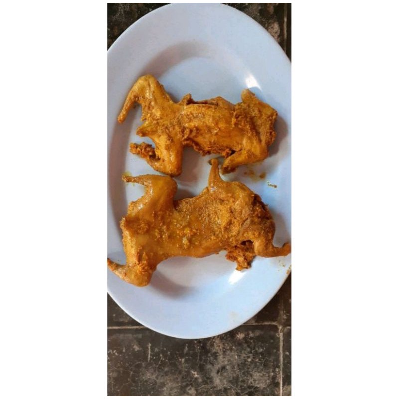 Jual DAGING TUPAI UNGKEB SIAP GORENG DAN BAKAR PER 1 EKOR- DAGING TUPAI ...