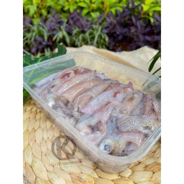 Jual Cumi Segar, fresh dan murah | Shopee Indonesia