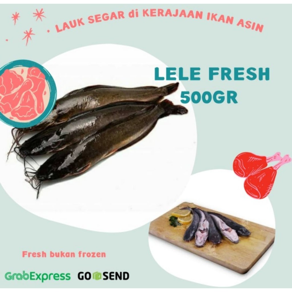Jual Ikan Lemadang Terlengkap & Harga Terbaru Februari 2023 | Shopee ...