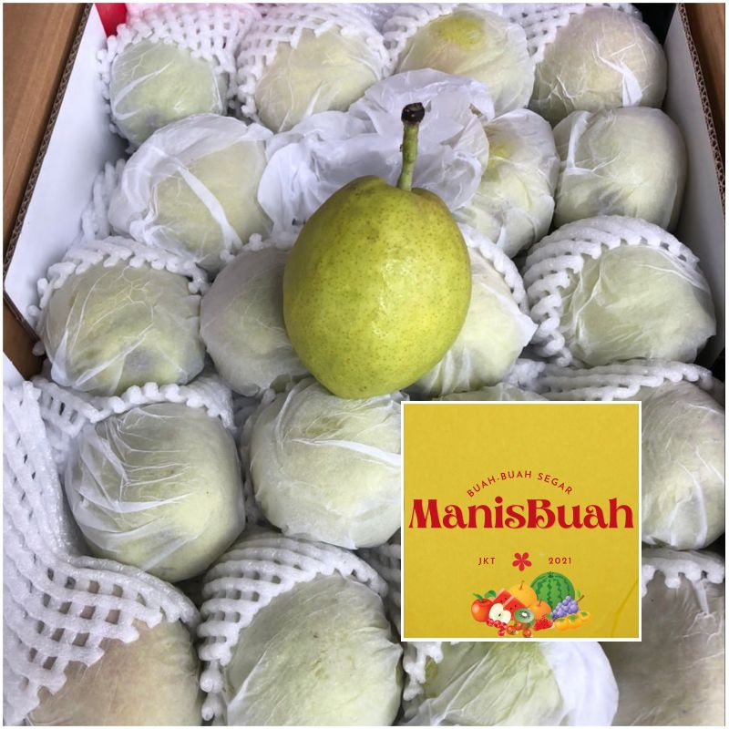 Jual xiang lie 120 gram pear per dus | Shopee Indonesia