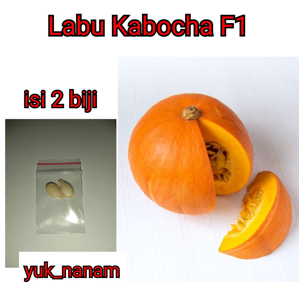 Jual 2 Benih Labu Kabocha Merah F1 Hibrida Kagum Bibit Buah Red Lamp ...
