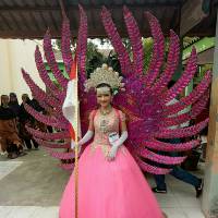 Jual Sayap Kupu Kupu | Sayap Karnaval Jombang | Shopee Indonesia