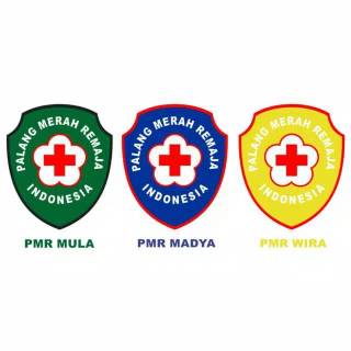 Jual 20 biji slayer PMR,slayer PMI-hasduk PMR-Setangan PMR-palang merah ...