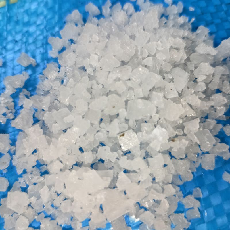 Jual Garam ikan/Garam grosok 1 kg | Shopee Indonesia