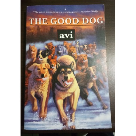 A Good Dog Avi