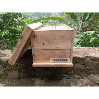 Jual Kotak Budidaya Stup Lebah Apis Cerana / Malifera | Shopee Indonesia