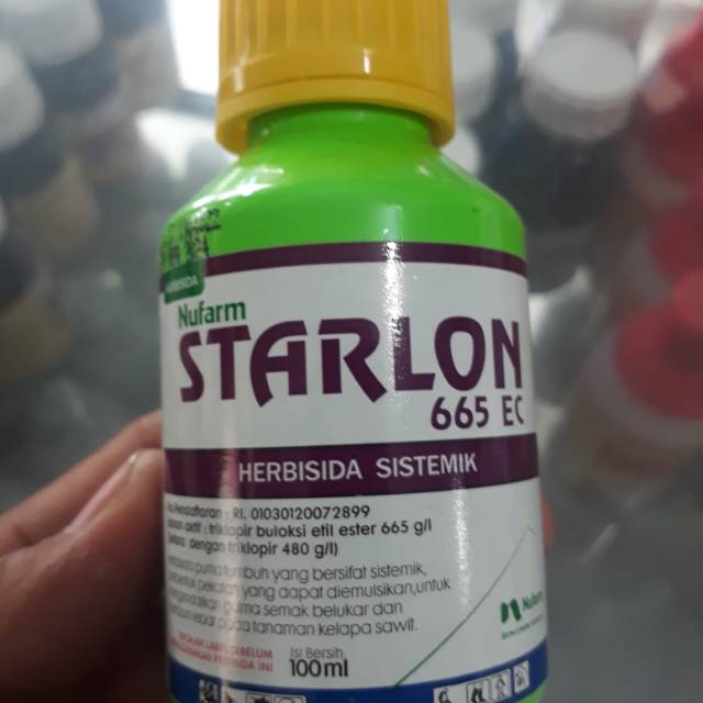 STARLON 100 ml Herbisida Sistemik Mematikan Pohon Tanaman Keras Bambu ...