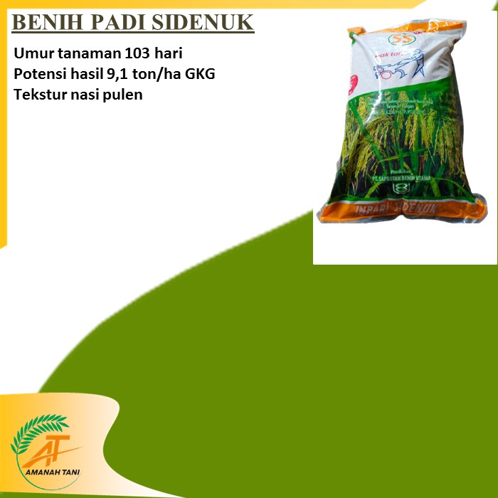Jual BENIH PADI INPARI SIDENUK BIBIT PADI UNGGUL BERSERTIFIKAT Indonesia|Shopee Indonesia