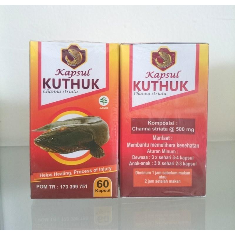 Jual Kapsul Ekstrak Ikan Gabus Kuthuk 60 Kapsul | Shopee Indonesia