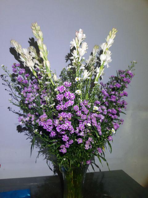 Bunga Pikok / Peacock Ungu Asli Fresh Segar Cocok untuk hiasan acara ...