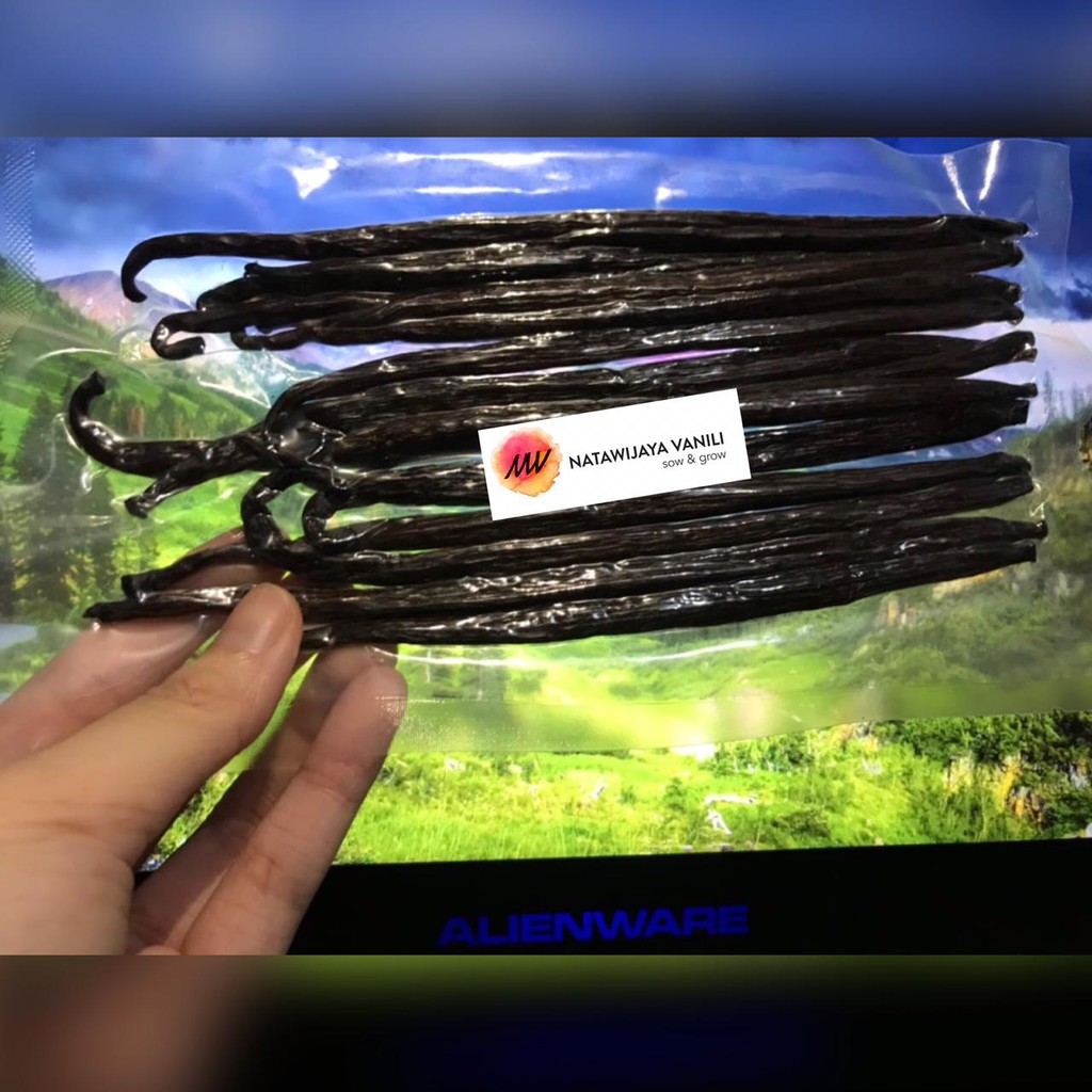 Jual VANILI BEAN VANILA BEAN VANILI KERING 400 Gram Shopee Indonesia